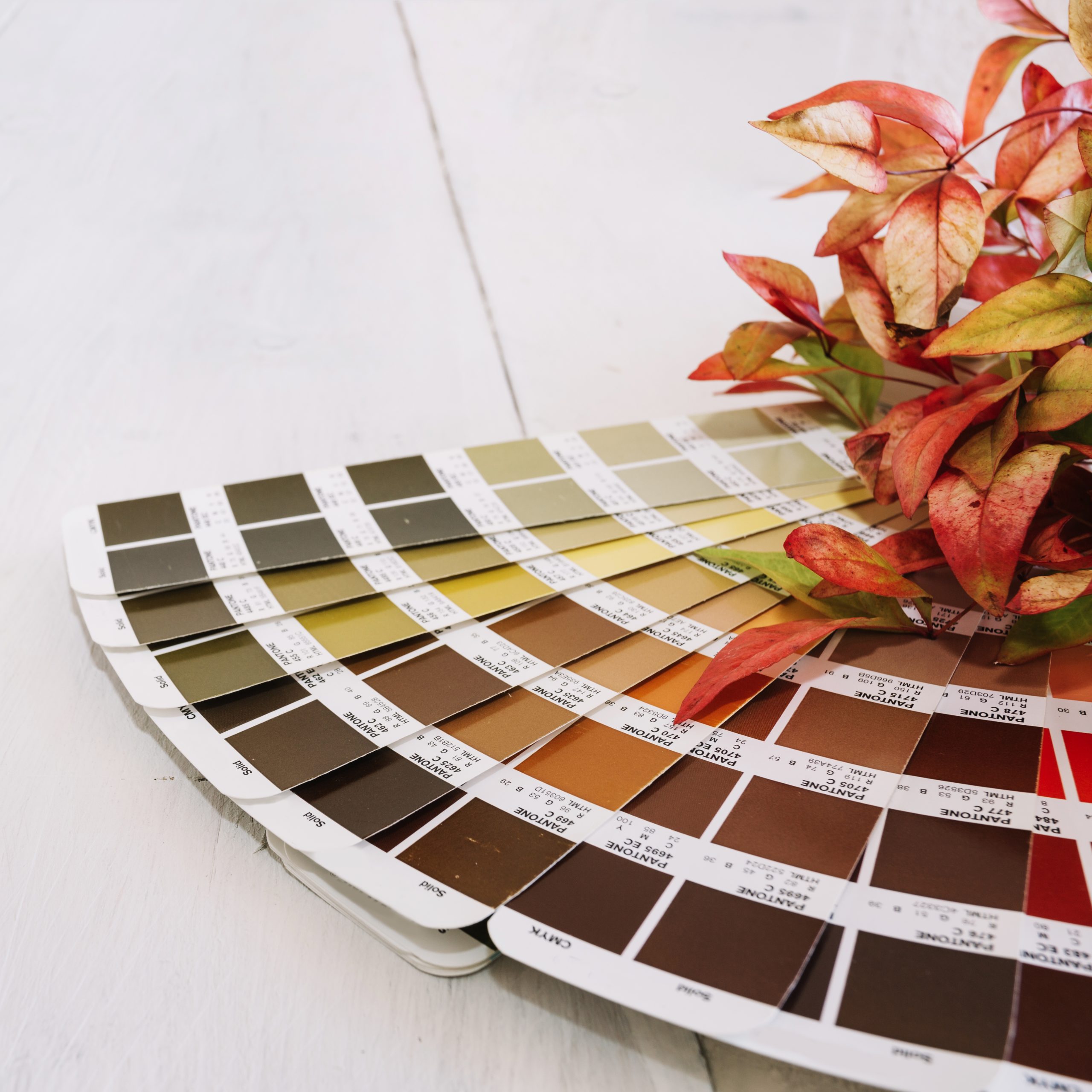 How to Choose Paint Colors That Stay Stylish All Year - J AND S ...